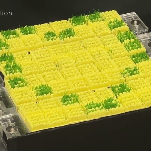 Portfolio -Tonali / Kojiro Tanaka-/works/programmablegrass/